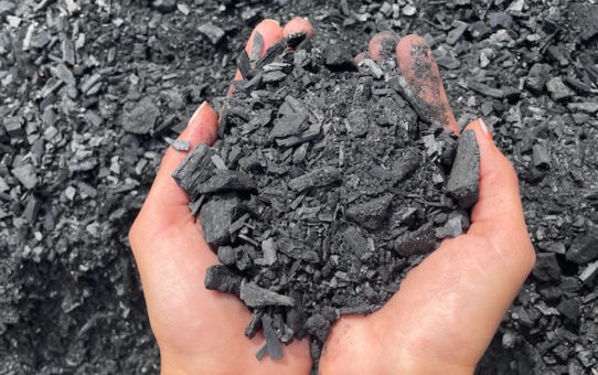 Soler décarbone l’économie avec son biocarbone et ses bioénergies durables – MAGAZINE ET PORTAIL ...